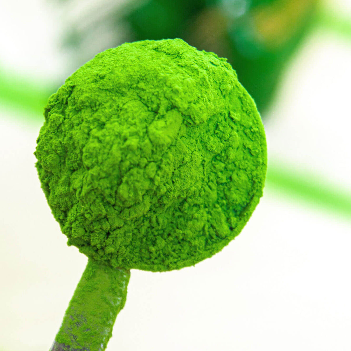 Are matcha tea bags as good for you as matcha powder? – OMGTeas