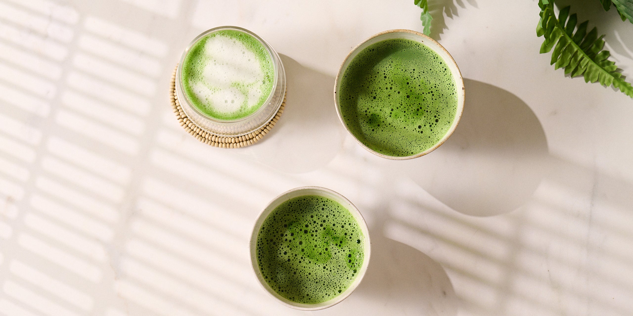 Drinking Matcha - Health Benefits for Children – OMGTeas